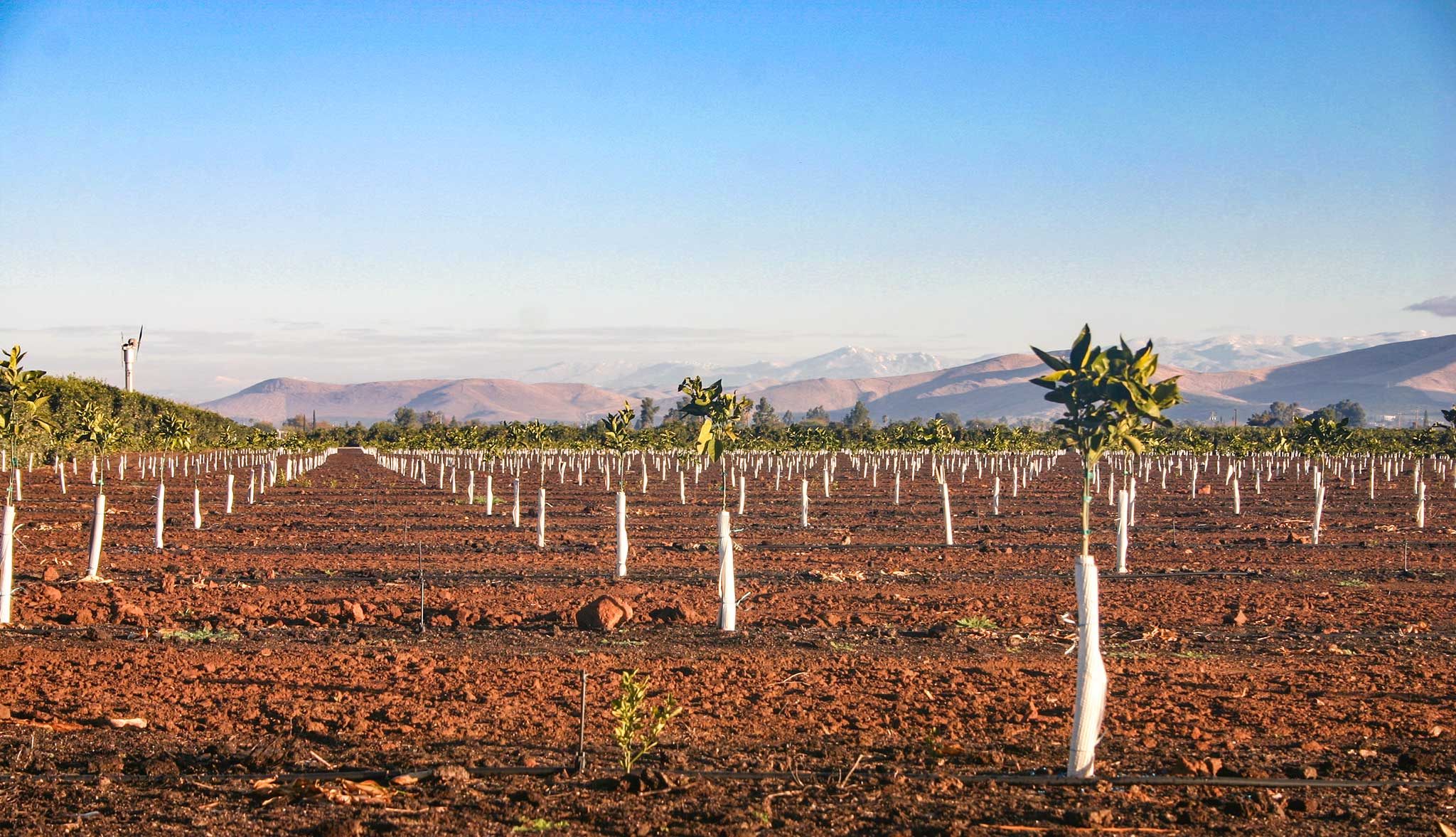 Ag Insurance | Agribusiness Solutions | Carl Nelson Agency, Inc ...